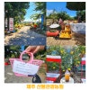 제주 서귀포 쇠소깍 산물관광농원에서 귤따기체험과 제주투어패스 실내 박물관 네이버 블로그